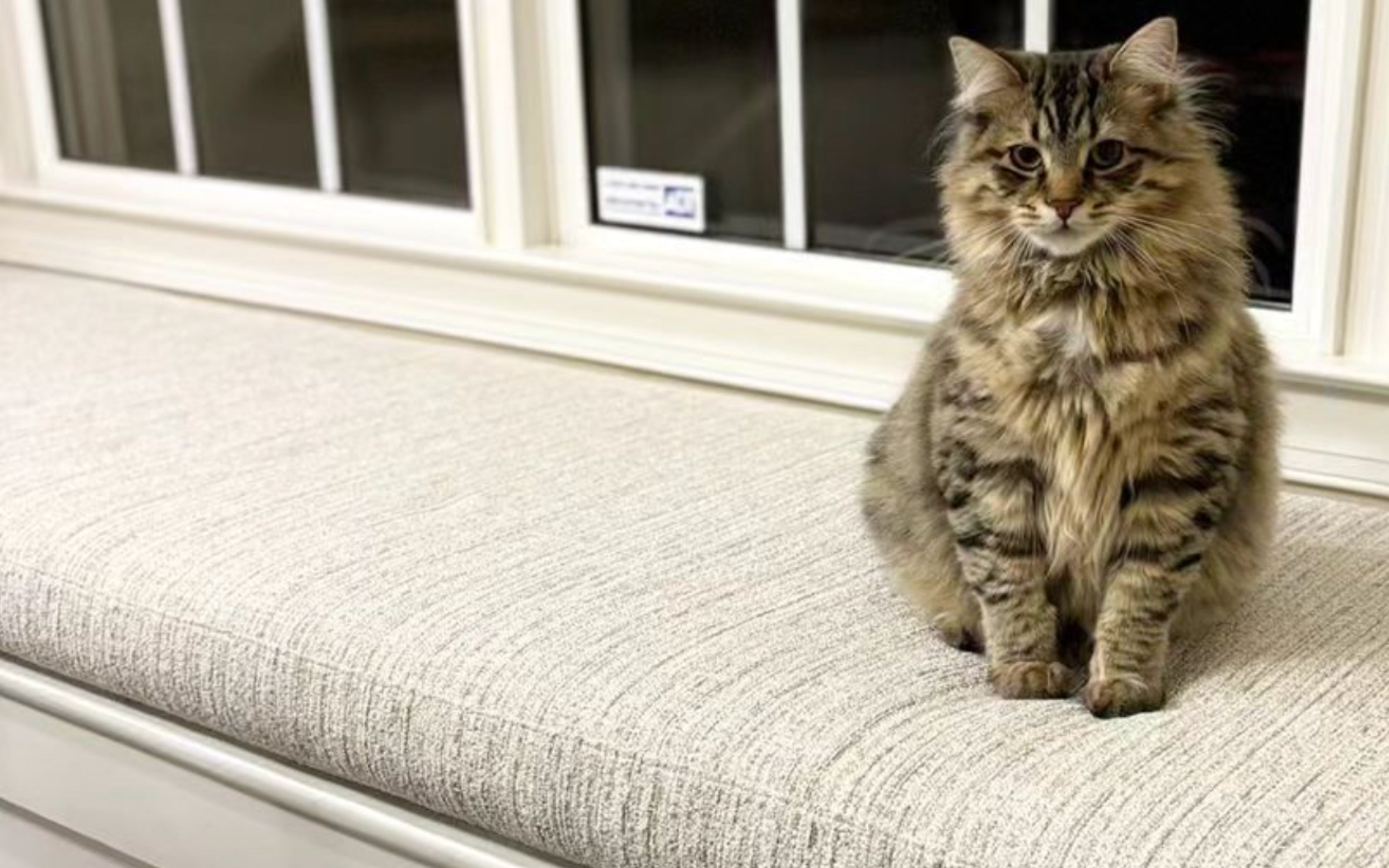 The Ultimate Guide to Bleach Cleanable Upholstery Fabric: Pros and Con ...