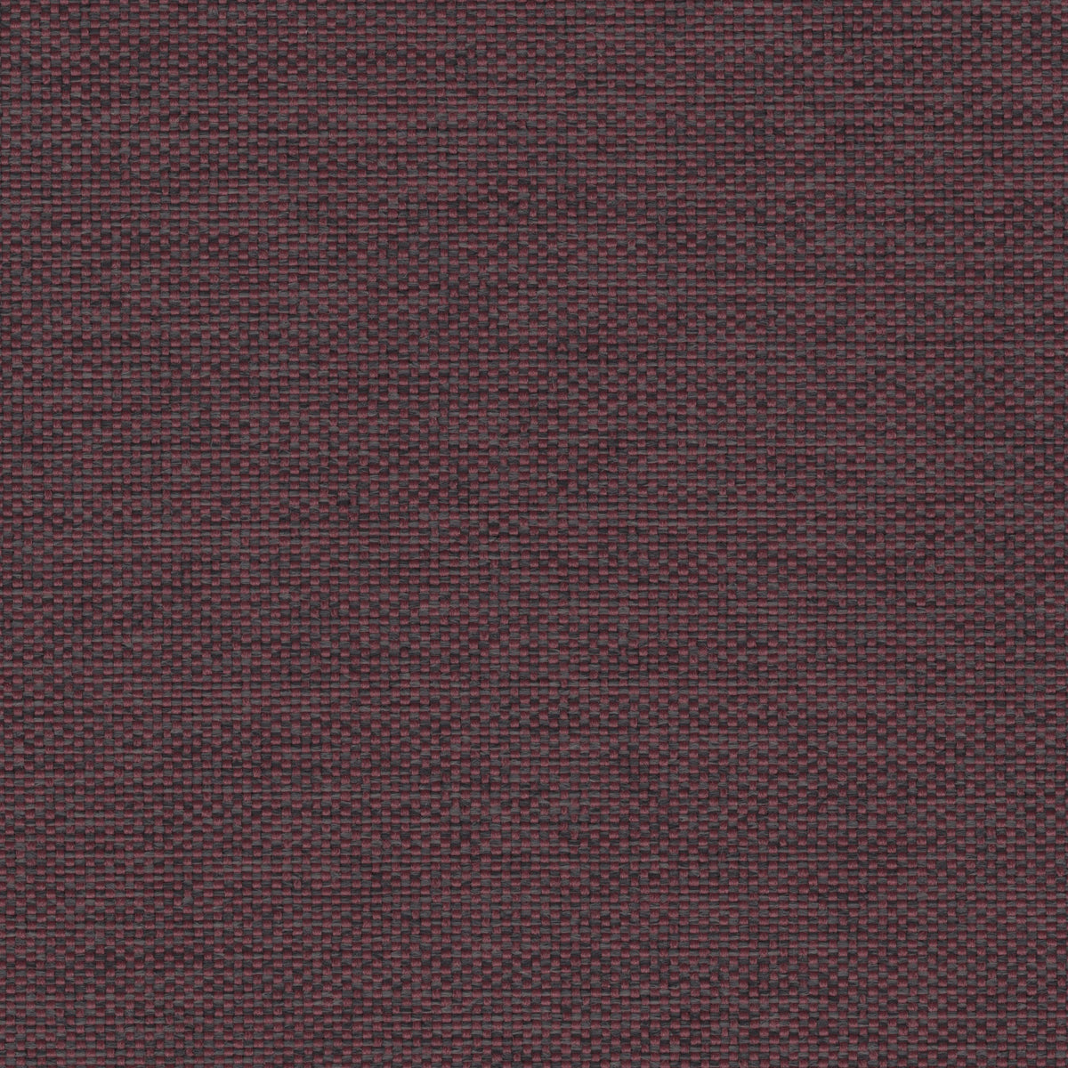 Anchorage Outdoor Upholstery Fabric - Revolution Fabrics