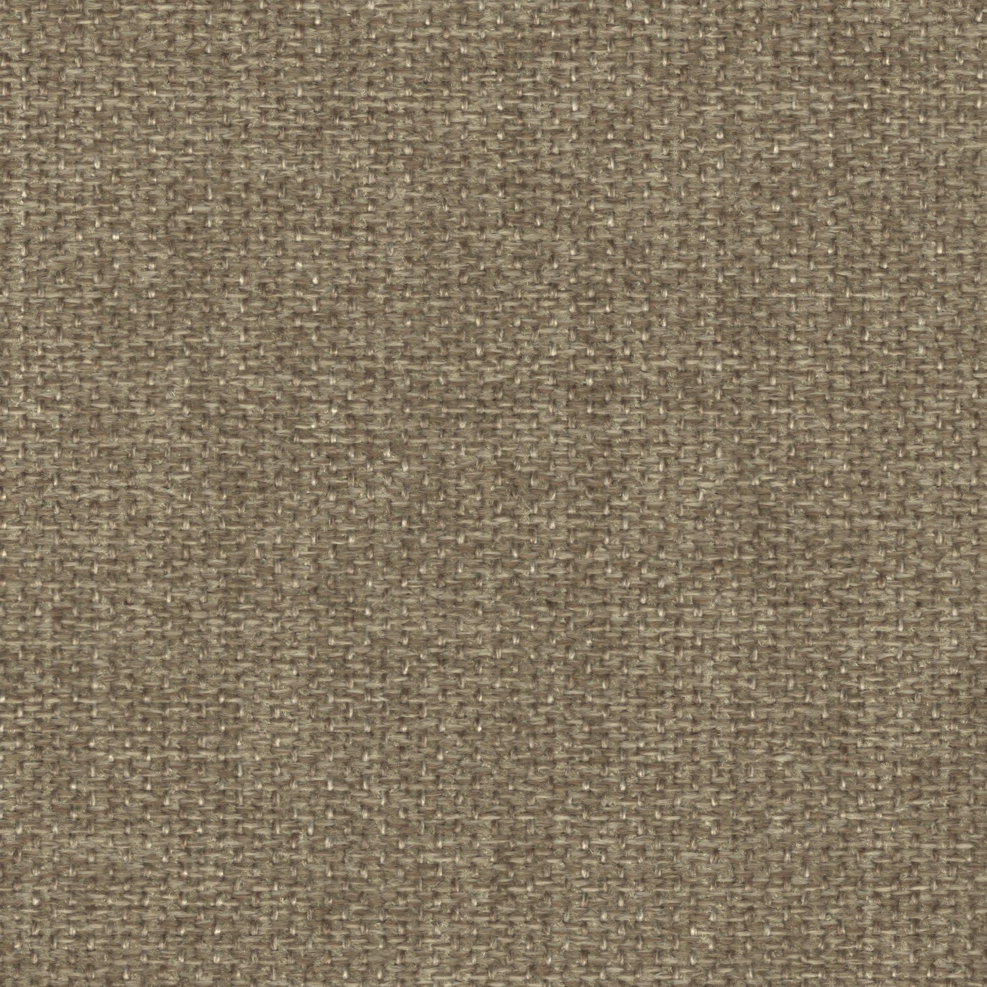Arrival - Performance Upholstery Fabric | Revolution Fabrics