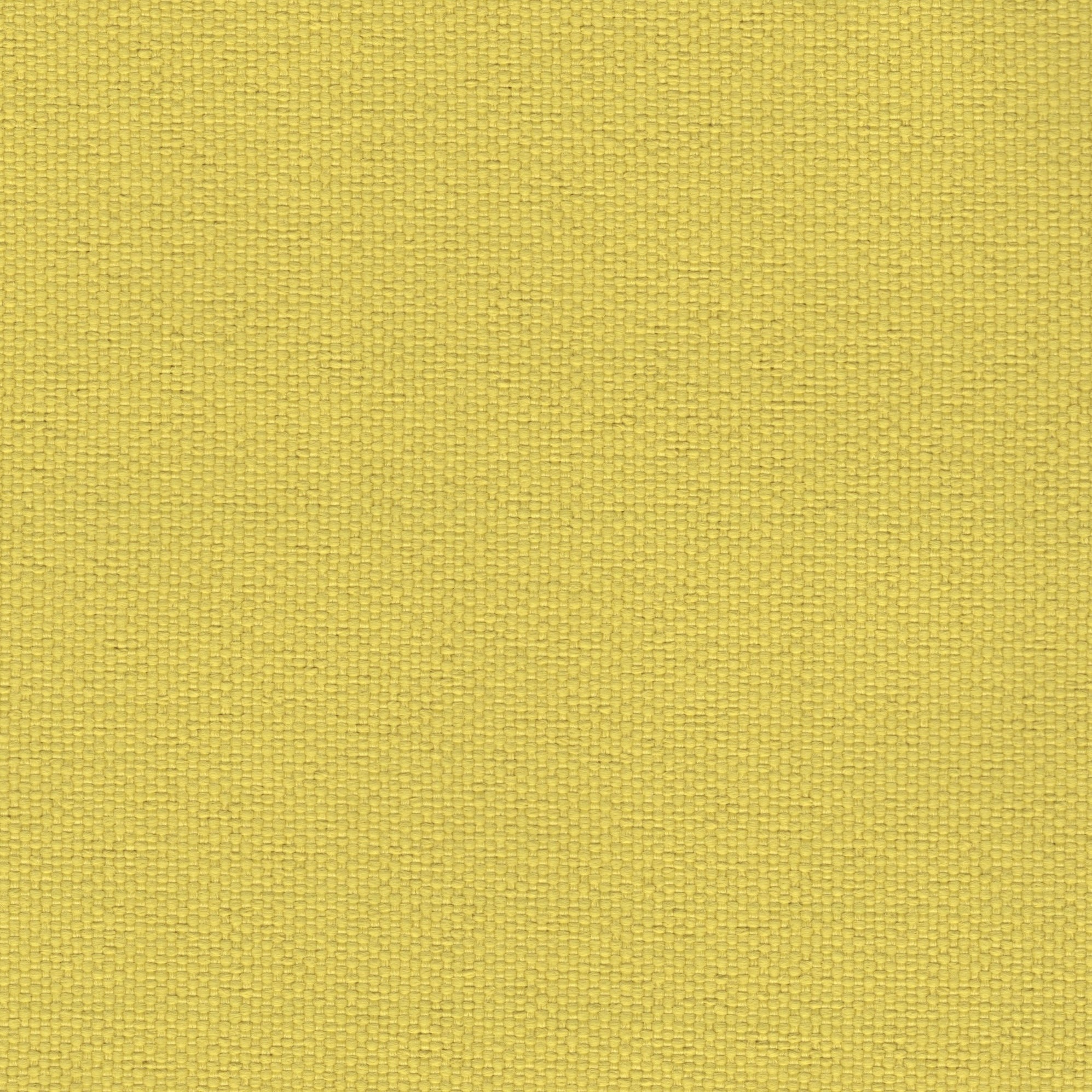Brightside Outdoor Upholstery Fabric - Revolution Fabrics